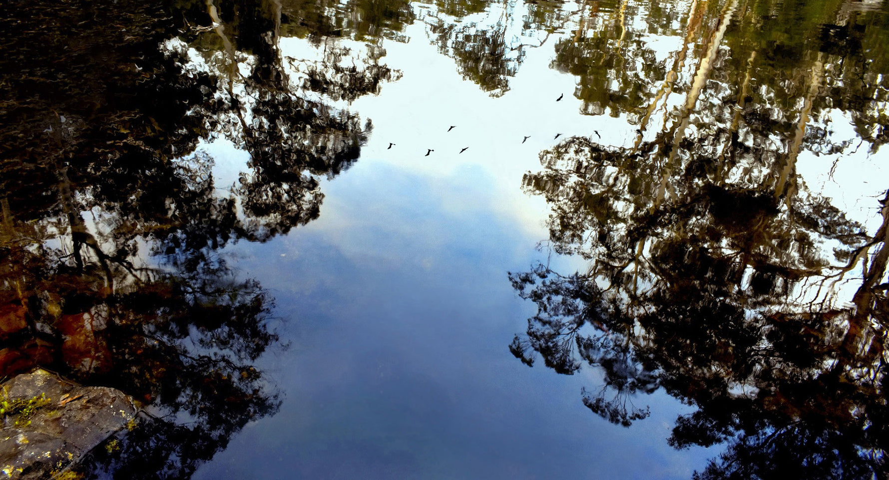 Natural Water Structuring Systems | MEA Water