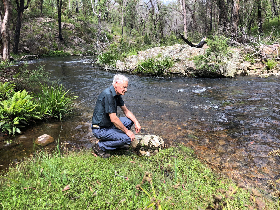 Natural Water Filtration & Structuring Systems | MEA Water – Meawater store